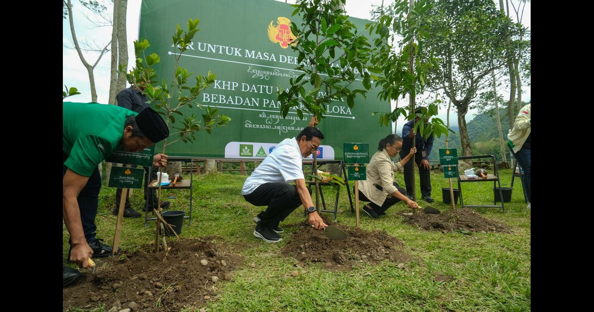 Memayu Hayuning Bawana, Sri Sultan Pimpin Reboisasi di Lereng Merapi